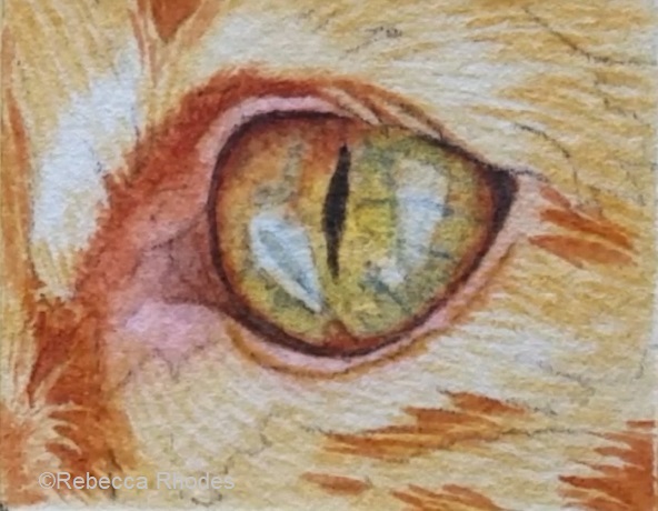 How To Paint A Ginger Cat Eye In Watercolor Rebecca Rhodes